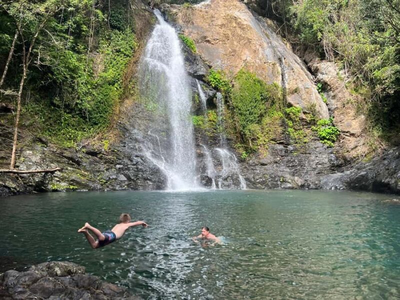 Daintree waters tour, all terrain vehicles and light lunch. - Final Thoughts