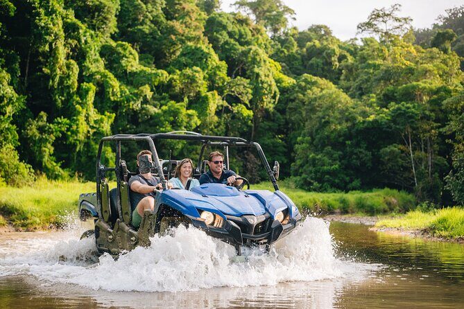 Daintree Waters Tour - Key Points