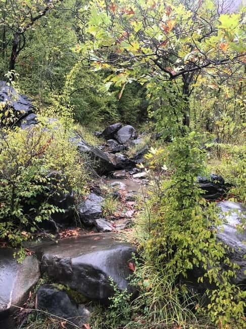 Dajti Cable Car and Shengjergj Waterfall Tour with Lunch - Key Points