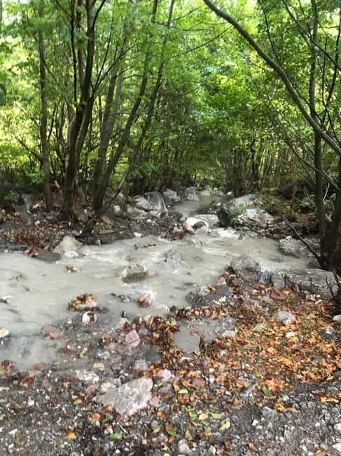 Dajti Cable Car and Shengjergj Waterfall Tour with Lunch - Why This Tour Works