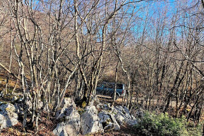 Dajti Mountain & Shengjergj Waterfall Day Trip on Land Rover - The Sum Up: Is This Tour Worth It?