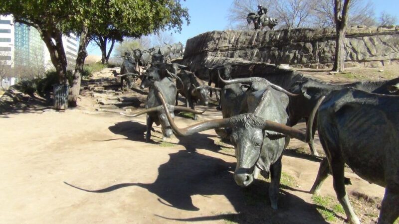 Dallas: City & Fort Worth Combination Tour - The Sum Up  