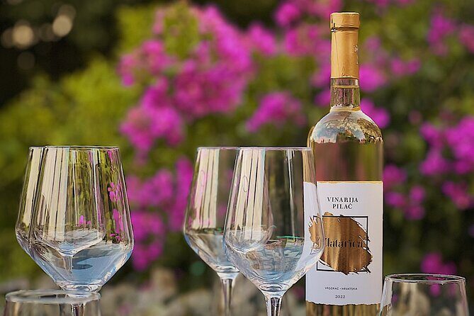 Dalmatian wine tasting by Bottiglia wine & deli - Analyzing the Value