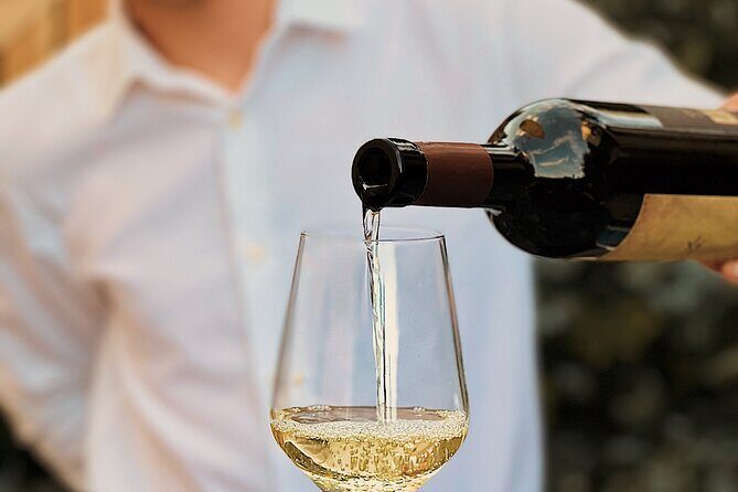 Dalmatian wine tasting by Bottiglia wine & deli - Who Is This Tour Best For?