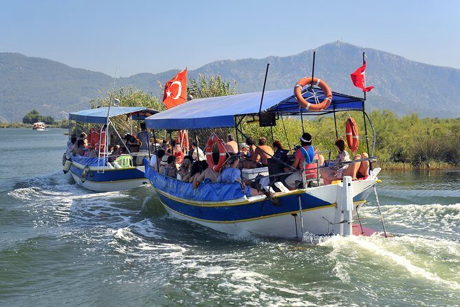 Dalyan Mud Baths and Turtle Beach Day Tour From Fethiye - A Deep Dive Into the Experience