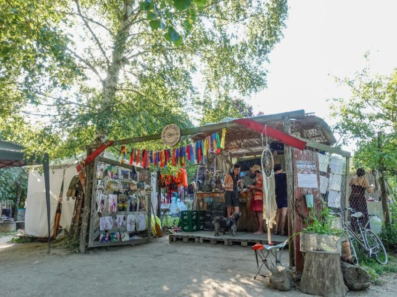 Danube Bend Hiking and Kayaking Adventure - Practical Tips for Your Day