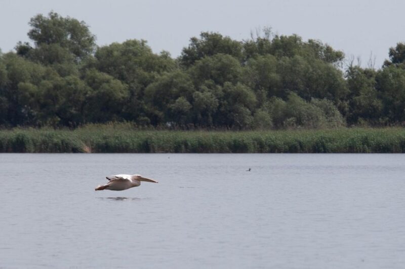 Danube Delta - 2-Day Tour from Bucharest - Practical Details That Matter