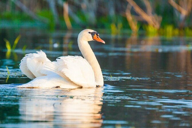 Danube Delta and Black See - 2 Days Private Tour from Bucharest - Practical Tips for Making the Most of Your Trip