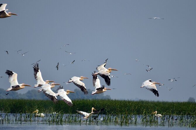 Danube Delta and Black See - 2 Days Private Tour from Bucharest - Final Thoughts: Who Is This Tour Perfect For?
