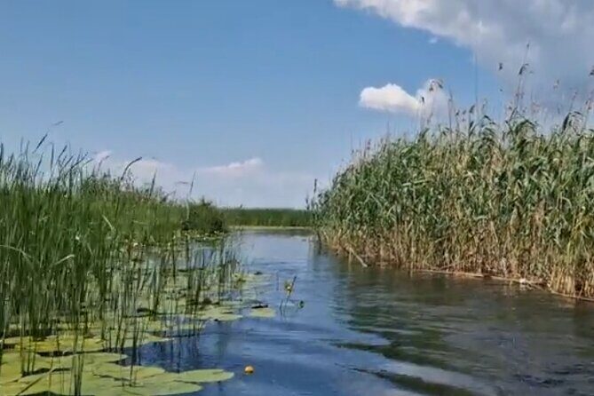 Danube Delta -Small group Tour- Boat Trip & Traditional Lunch - What Is the Danube Delta and Why Visit?