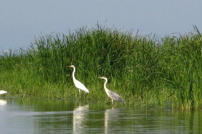 Danube Delta -Small group Tour- Boat Trip & Traditional Lunch - Guides and Local Expertise