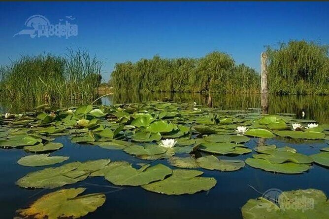 Danube Delta -Small group Tour- Boat Trip & Traditional Lunch - Final Thoughts