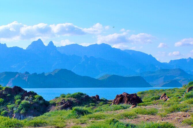 Danzante Island and Snorkel Tour from Villas del Palmar Hotel - FAQs