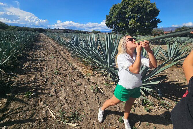 Danzantes Premium Mezcal, Hierve el Agua, Textiles & Lunch - The Downsides and Considerations