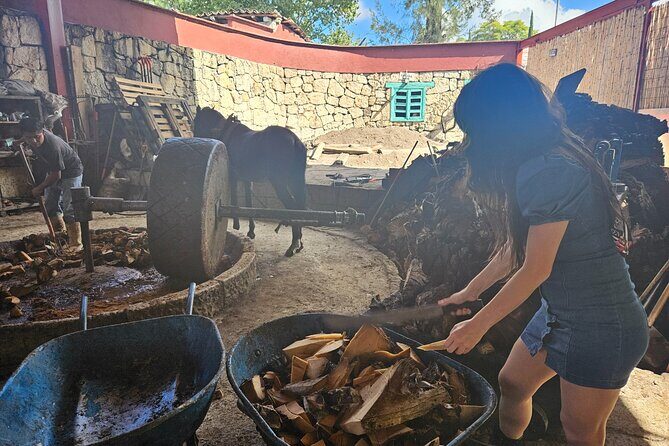 Danzantes Premium Mezcal, Hierve el Agua, Textiles & Lunch - Who Will Love This Tour?
