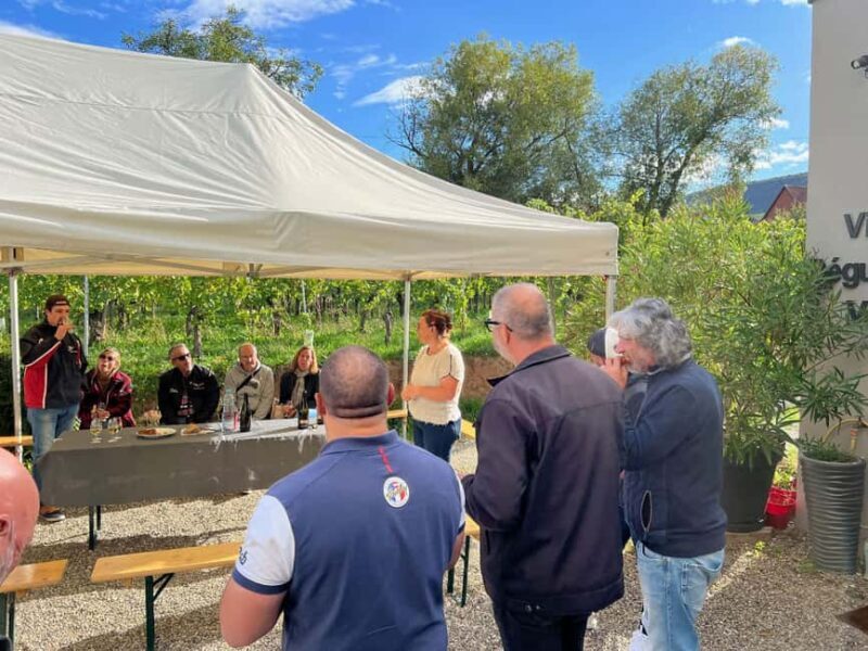 Dare to Alsace Wine with a Feminine Touch - Practical Tips for a Smooth Experience