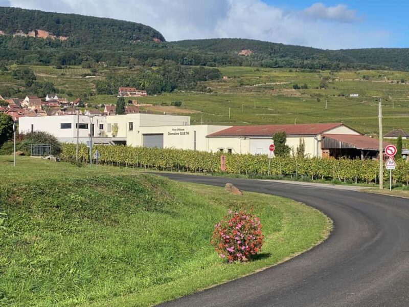 Dare to Alsace Wine with a Feminine Touch - FAQ