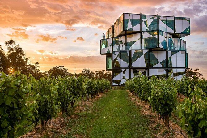 d'Arenberg Cube / McLaren Vale Regional Tour - Exploring the dArenberg Cube / McLaren Vale Regional Tour: A Detailed Review