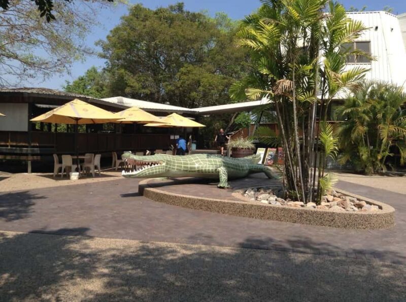 Darwin: Adelaide River Queen Original Jumping Crocodiles - What to Expect on the Crocodile Cruise