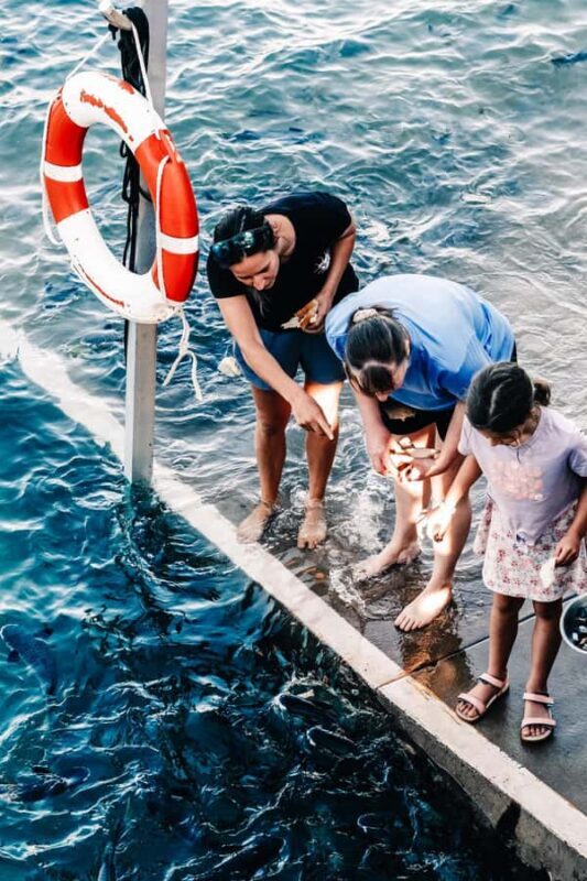 Darwin: Aquascene Fish Feeding Experience - What Can You Expect During the Tour?