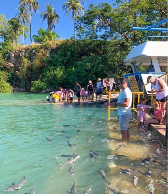 Darwin: Aquascene Fish Feeding Experience - Reviews from Visitors: Highlights and Tips