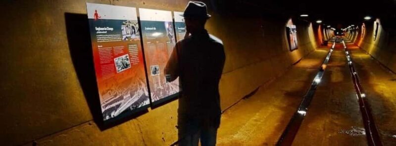 Darwin: City Explorer Bus Tour with Tour Tub - Key Points