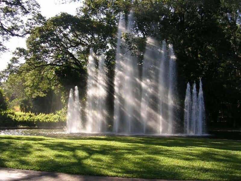 Darwin: City Explorer Bus Tour with Tour Tub - The Guided Tour Experience: What to Expect