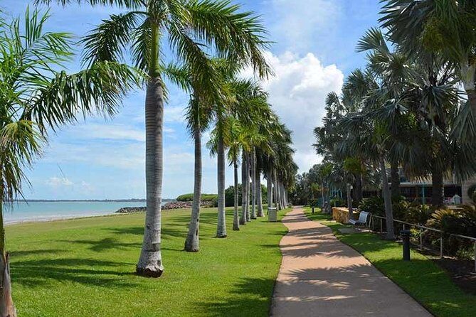 Darwin City & Mindil Beach Sunset Market experience - Authenticity and Local Insights