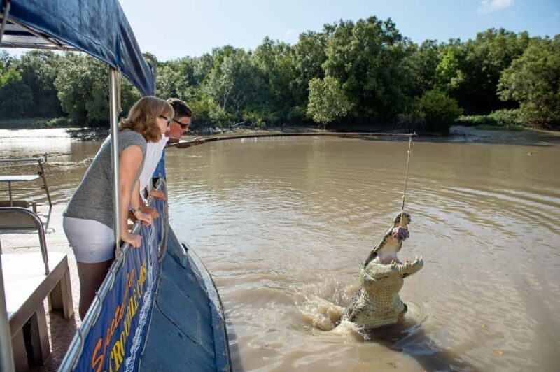 Darwin: City Sights and Jumping Crocodile Cruise - Value and Cost Consideration