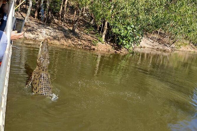 Darwin City Tour + Crocodile Cruise+Lunch Optional - What the Tour Includes and How It Works