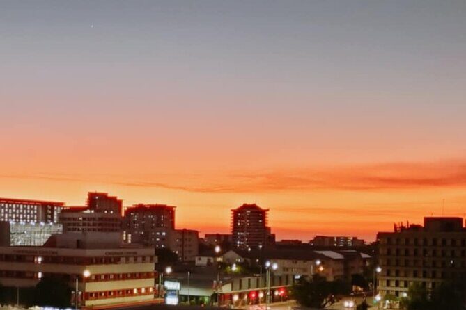 Darwin City Tour + Crocodile Cruise+Lunch Optional - Practical Tips for Future Travelers