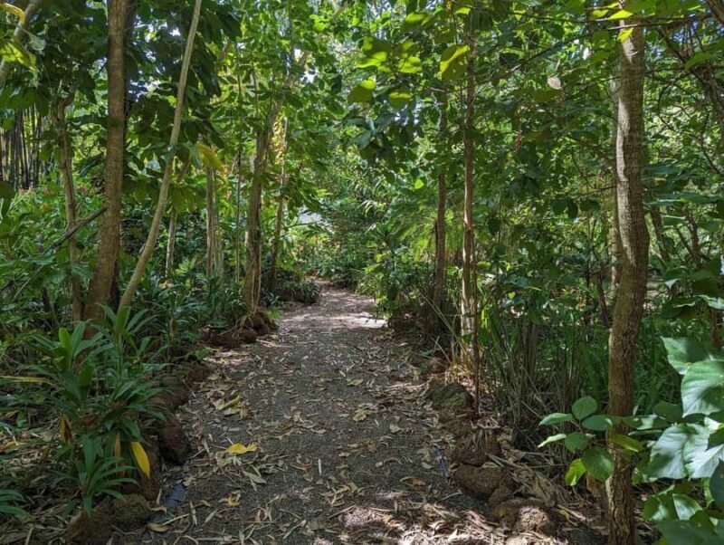 Darwin: Forage for an Outback Gourmet Feast & Sightseeing - FAQ