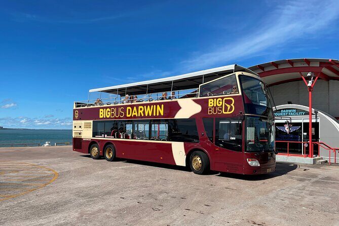 Darwin Hop-on Hop-off Bus Tour - What Makes This Tour Stand Out?