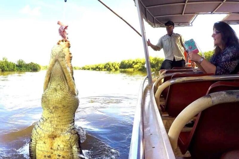 Darwin: Jumping Crocodile Adventure Cruise with Lunch - Key Points
