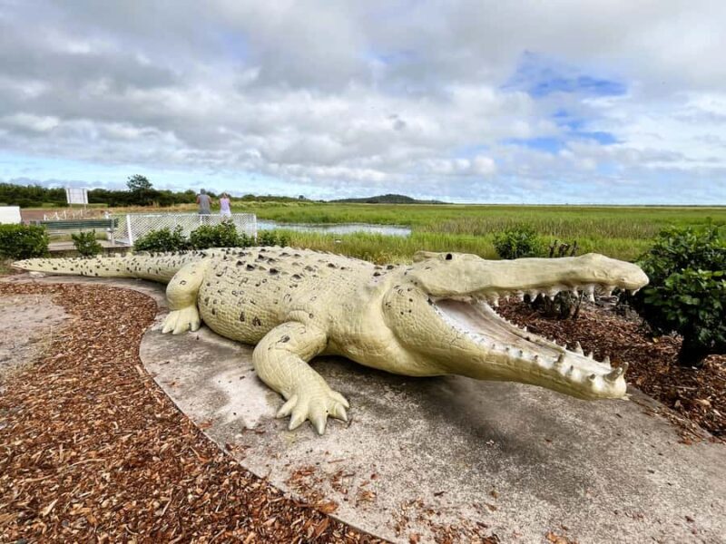 Darwin: Jumping Crocodile River Cruise with Shuttle Bus - FAQs