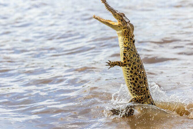 Darwin: Jumping Crocodiles & Barramundi Fishing tour - FAQ