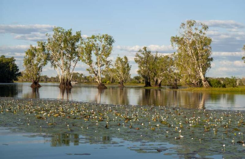 Darwin: Kakadu National Park Day Trip - An In-Depth Look at the Kakadu Day Trip