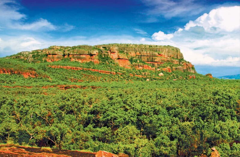 Darwin: Kakadu & Nourlangie Day Trip Plus Billabong Cruise - The Sum Up