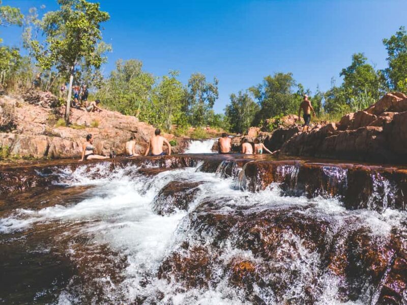 Darwin: Litchfield National Park Waterfalls & Wildlife Tour - Pricing and Value