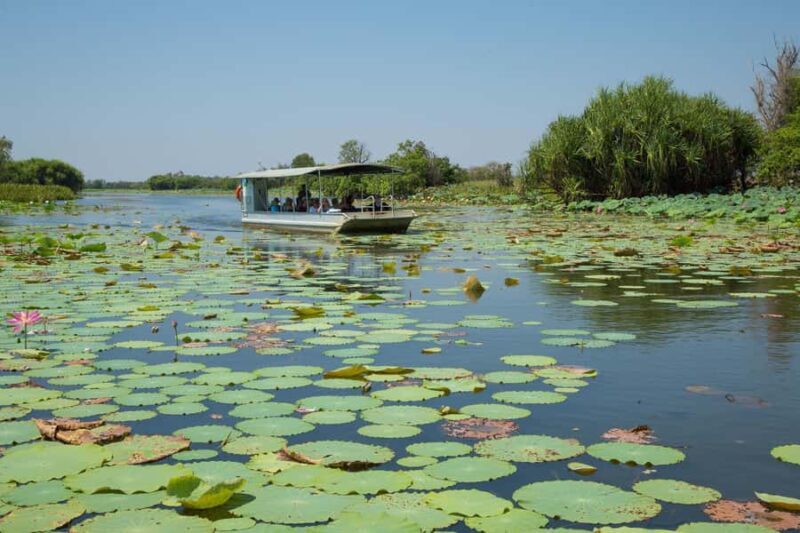 Darwin: Mary River Wetlands Wildlife Cruise with Lunch - The Experience From Reviewers: Authentic Insights