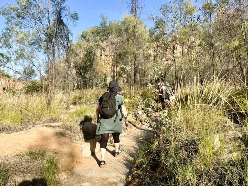 Darwin: Nitmiluk Edith Falls Tour & Katherine Gorge Cruise - Introduction: A Full-Day Northern Territory Adventure