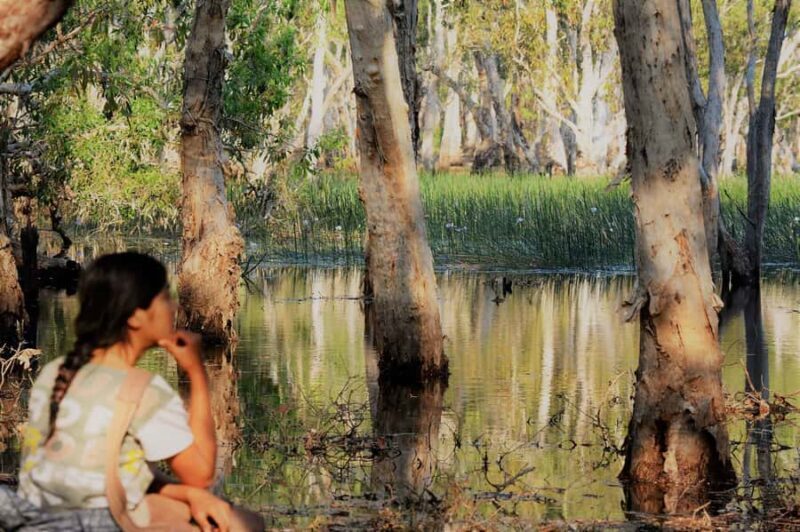 Darwin: Premium Litchfield Regional Small Group Day Tour - An Intro to the Tour Experience