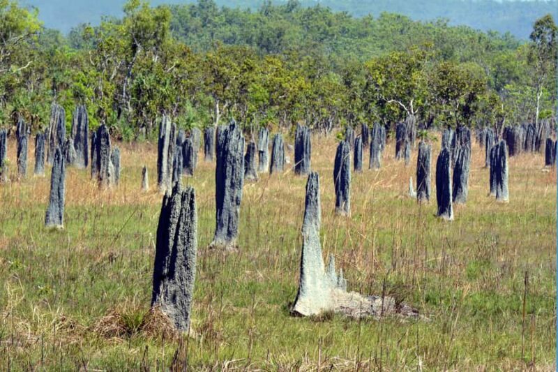 Darwin: PRIVATE Litchfield Park Sub-Tropical Escape - A Close Look at the Itinerary