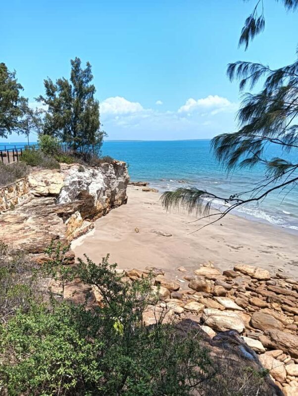Darwin: Private Tour with Museums, Gardens & Lifestyle - Museum and Art Gallery of the Northern Territory