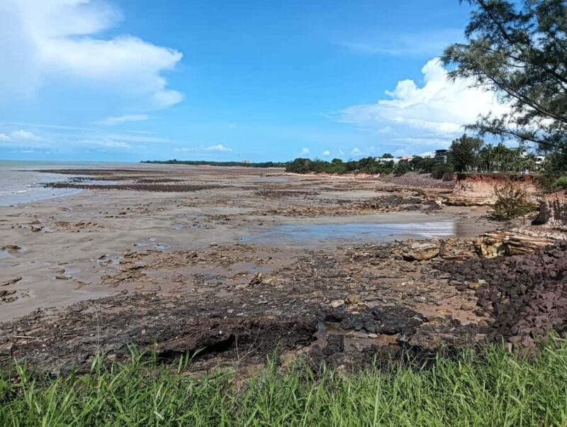 Darwin: Private Tour with Museums, Gardens & Lifestyle - Scenic Drive and Local Lifestyle