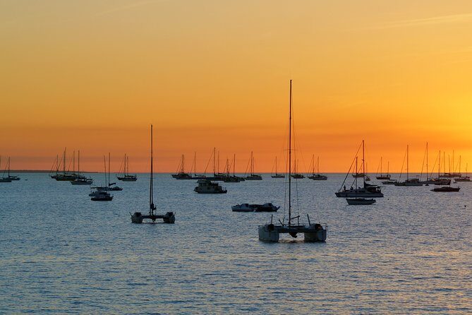 Darwin Shore Excursion: Hop-on Hop-off Bus Tour - Who Is This Tour Best Suited For?