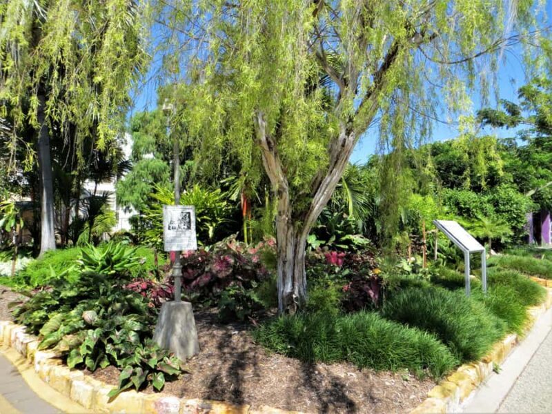 Darwin: Small Group 2-Hour Heritage Walk - Practical Details That Matter