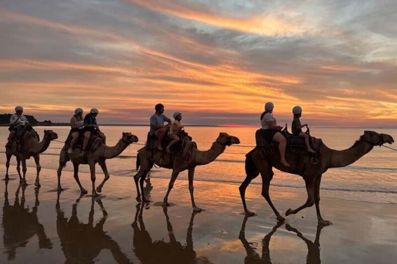 Darwin: Sunset Camel Ride along Mindil Beach - Key Points