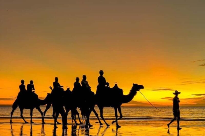 Darwin: Sunset Camel Ride along Mindil Beach - An In-Depth Look at the Darwin Sunset Camel Ride