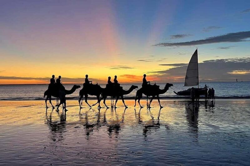 Darwin: Sunset Camel Ride along Mindil Beach - Practical Tips for a Smooth Experience